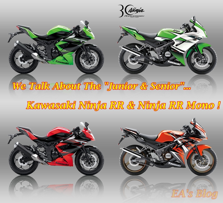 Ninja RR & Ninja RR Mono – ENOANDERSON – Motorbike